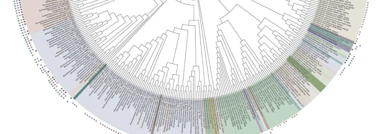 Comprendre Les Bases De Données Base De Données